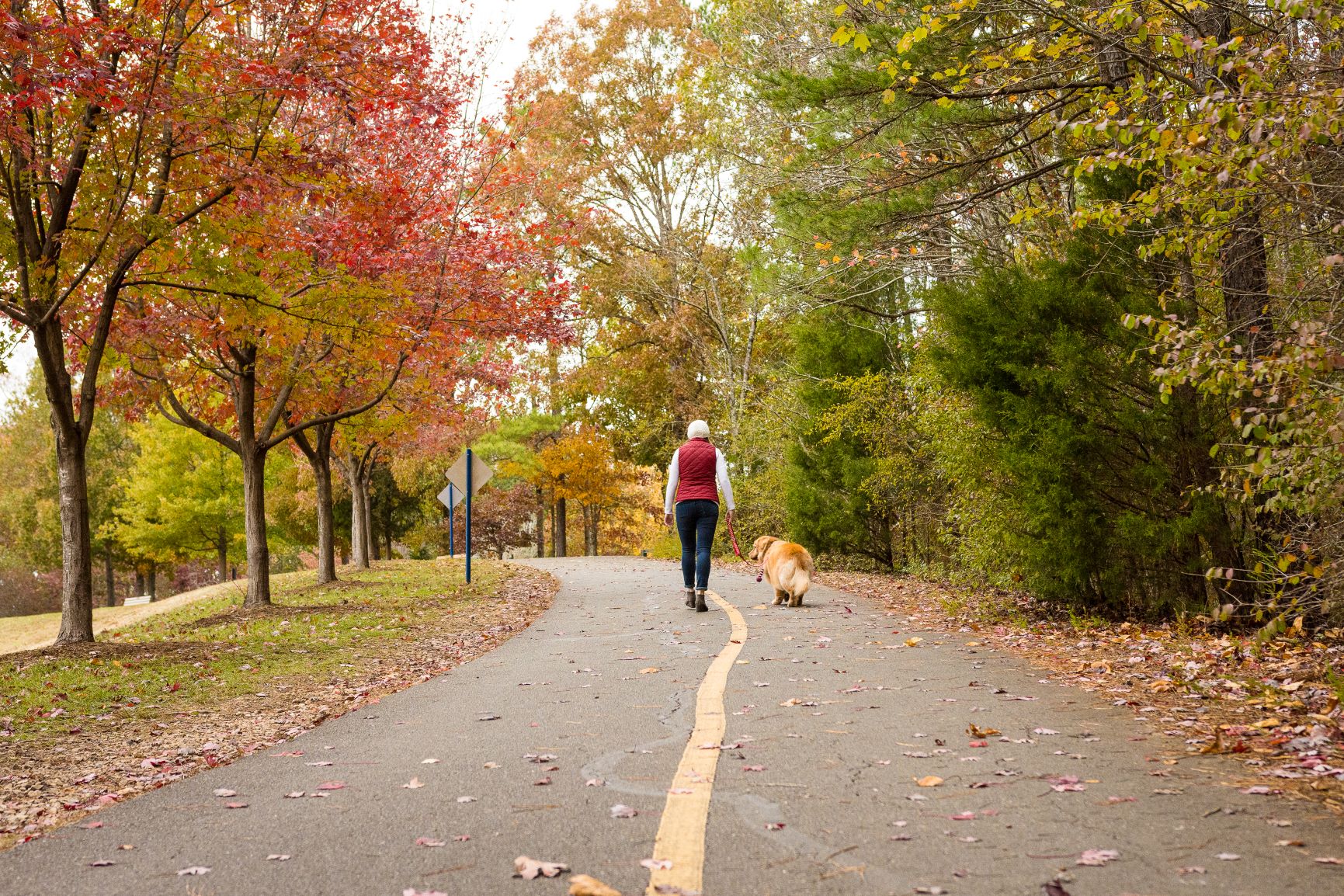 Fall Dog Photoshoot: your Ultimate Guide! | Top Raleigh Pet ...